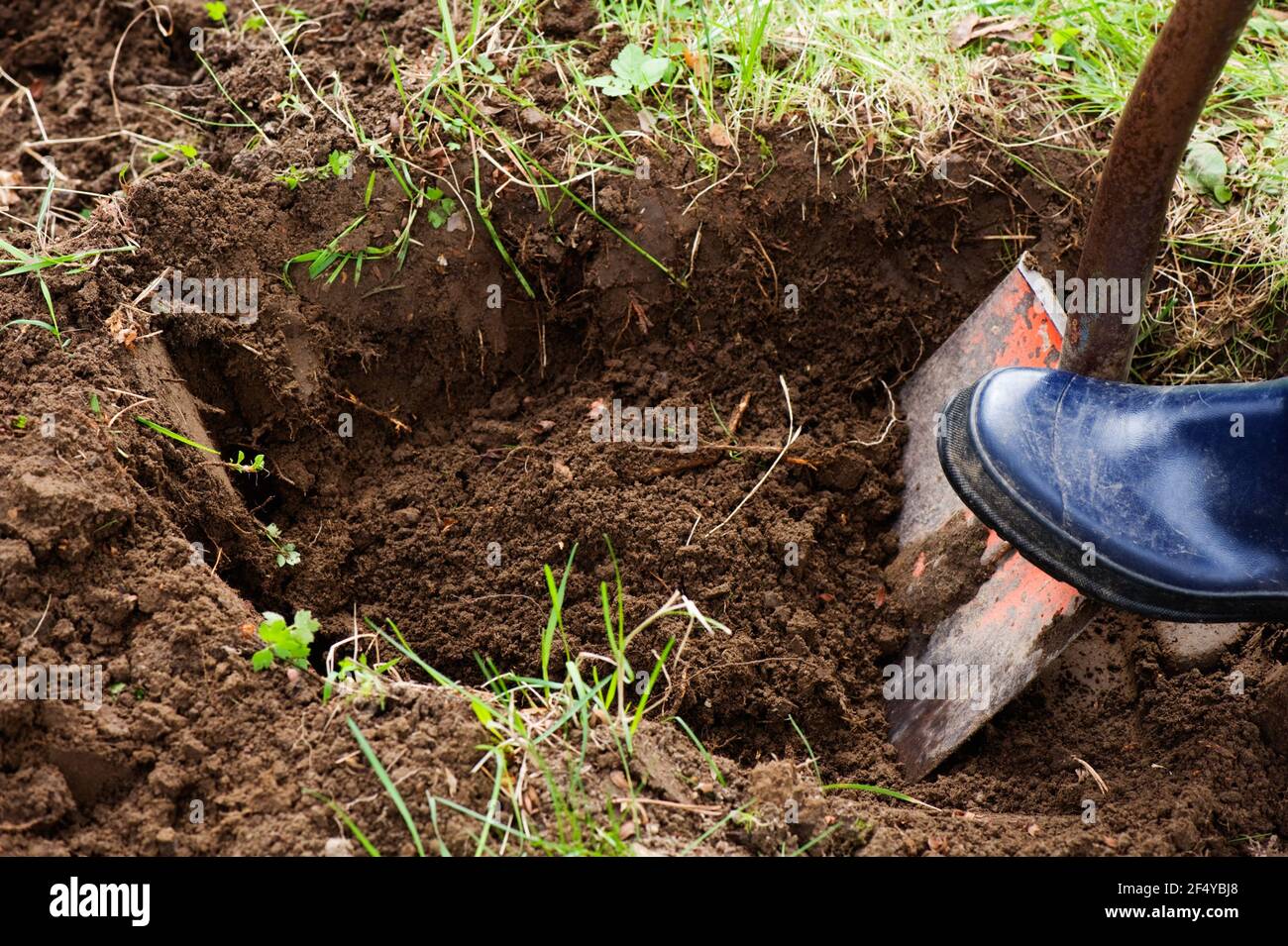 Person digging a hole hi-res stock photography and images - Alamy