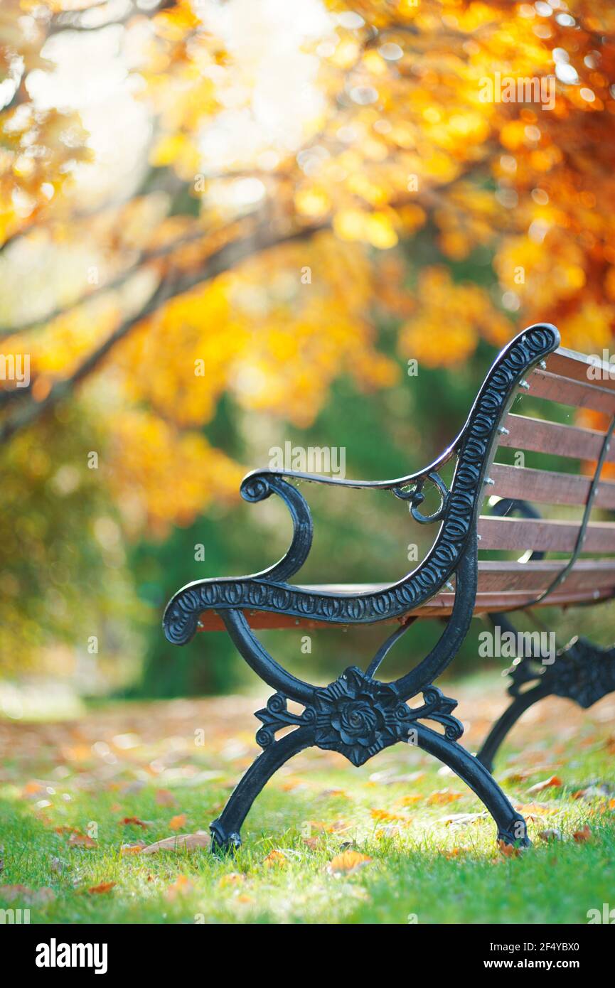 Beautiful garden bench hi-res stock photography and images - Alamy