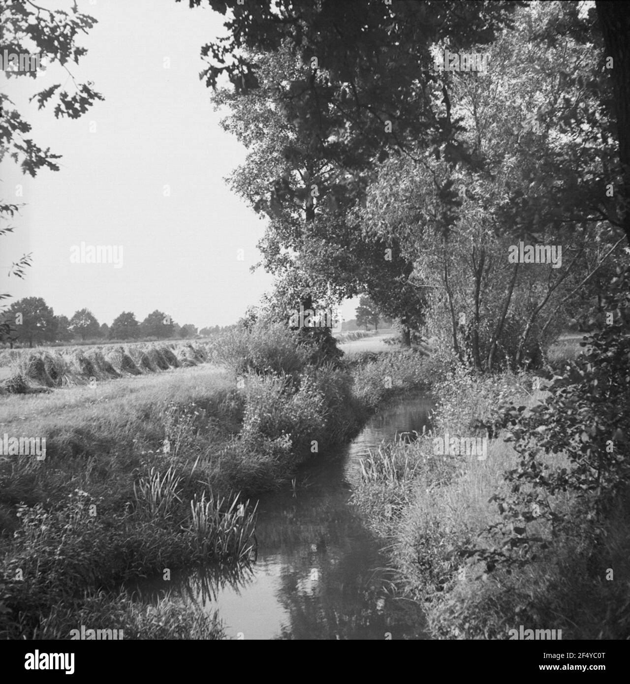 River bank nature Black and White Stock Photos & Images - Alamy