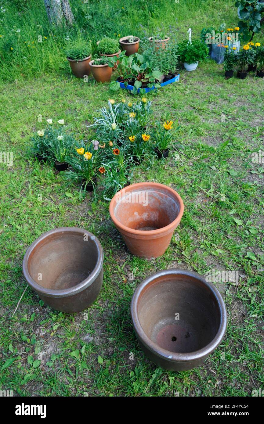 Group of plant empty containers hi-res stock photography and images - Alamy