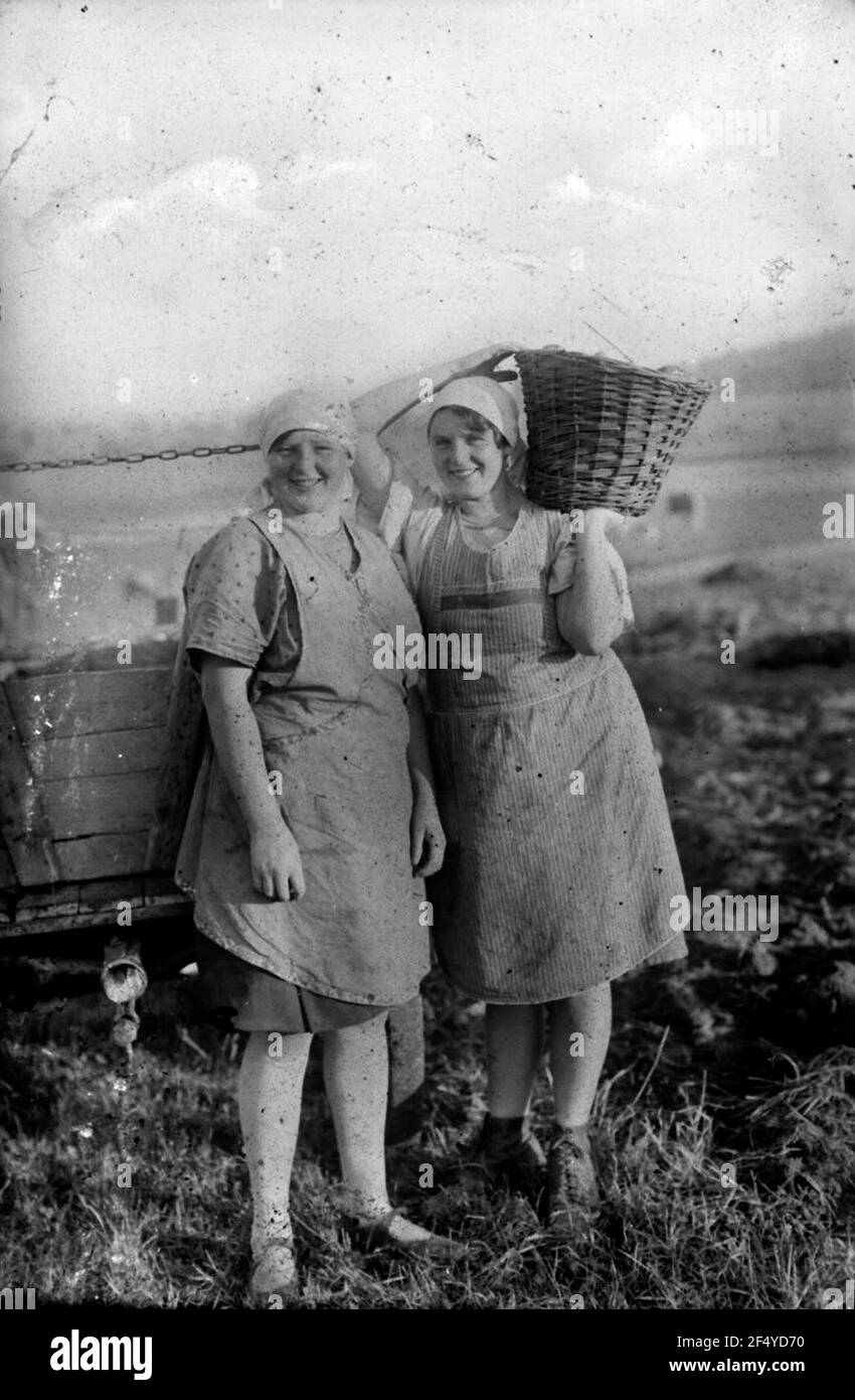 Potato yield Black and White Stock Photos & Images - Alamy