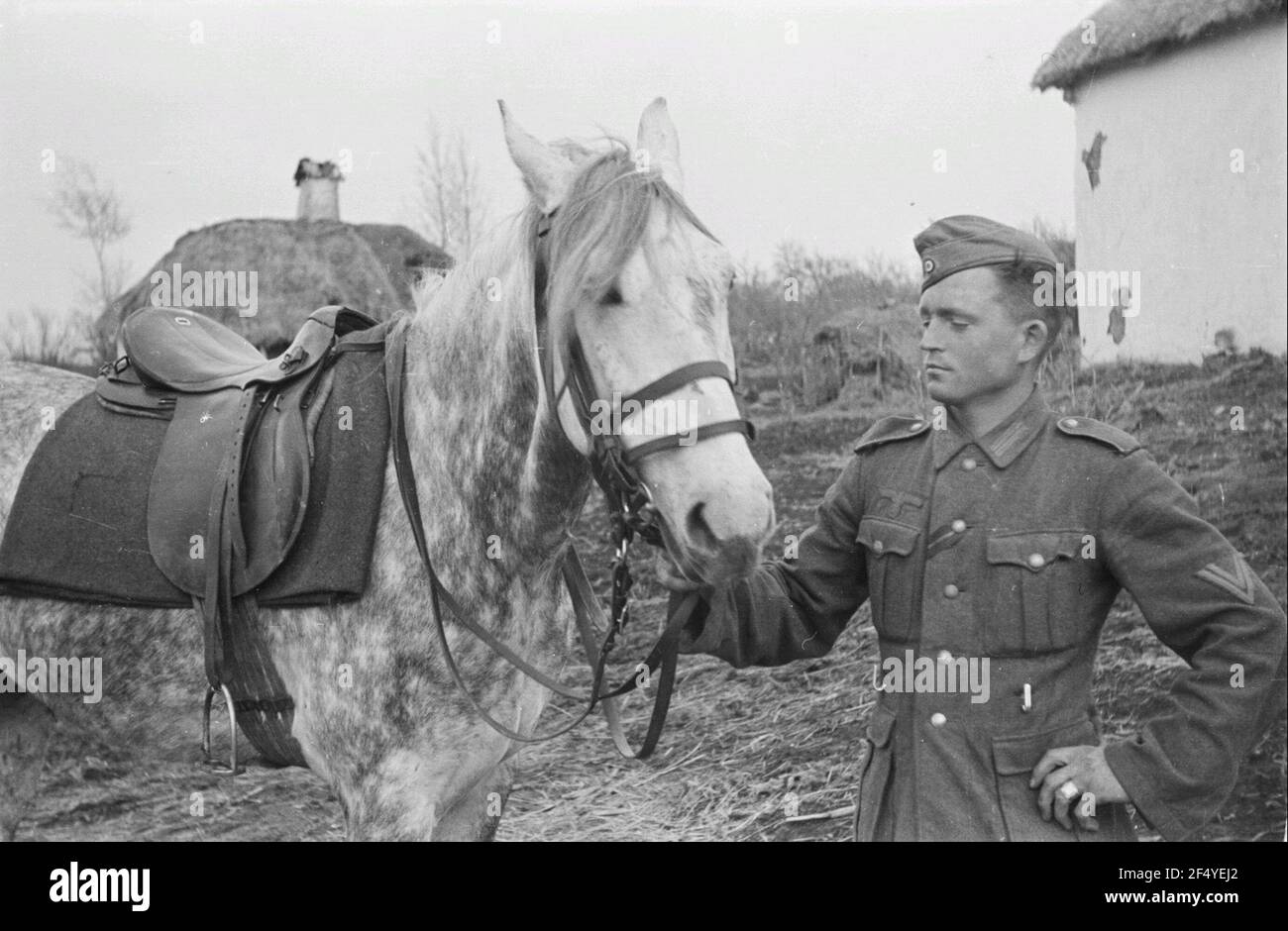 Second World War. For billeting. Soviet Union. Relatives of the German ...