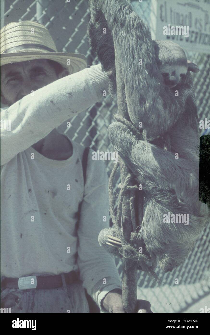 The sloth man hi-res stock photography and images - Alamy