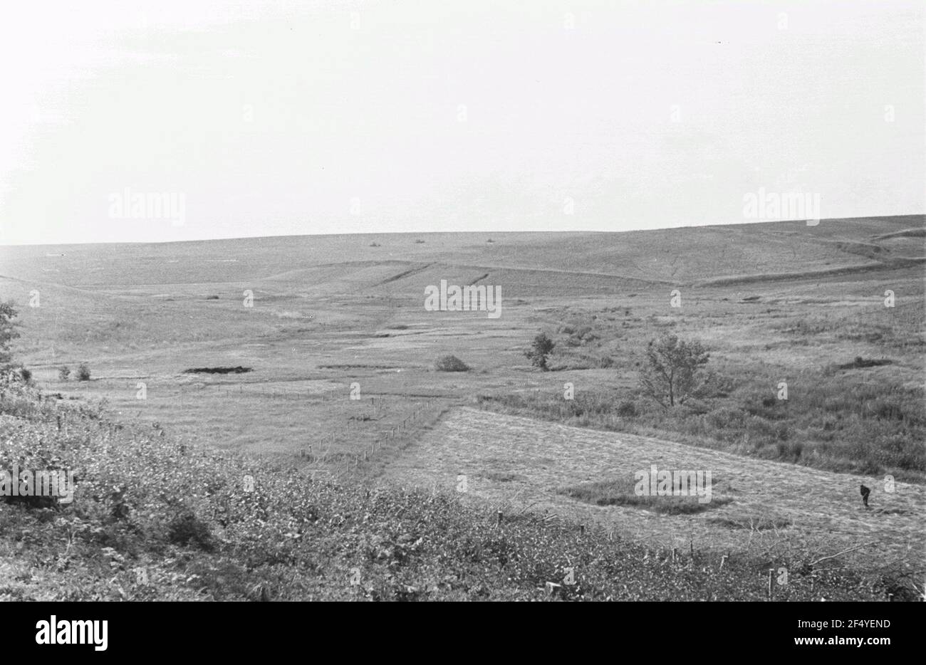 Second World War. Soviet Union. Landscape with Heuwiese Stock Photo - Alamy