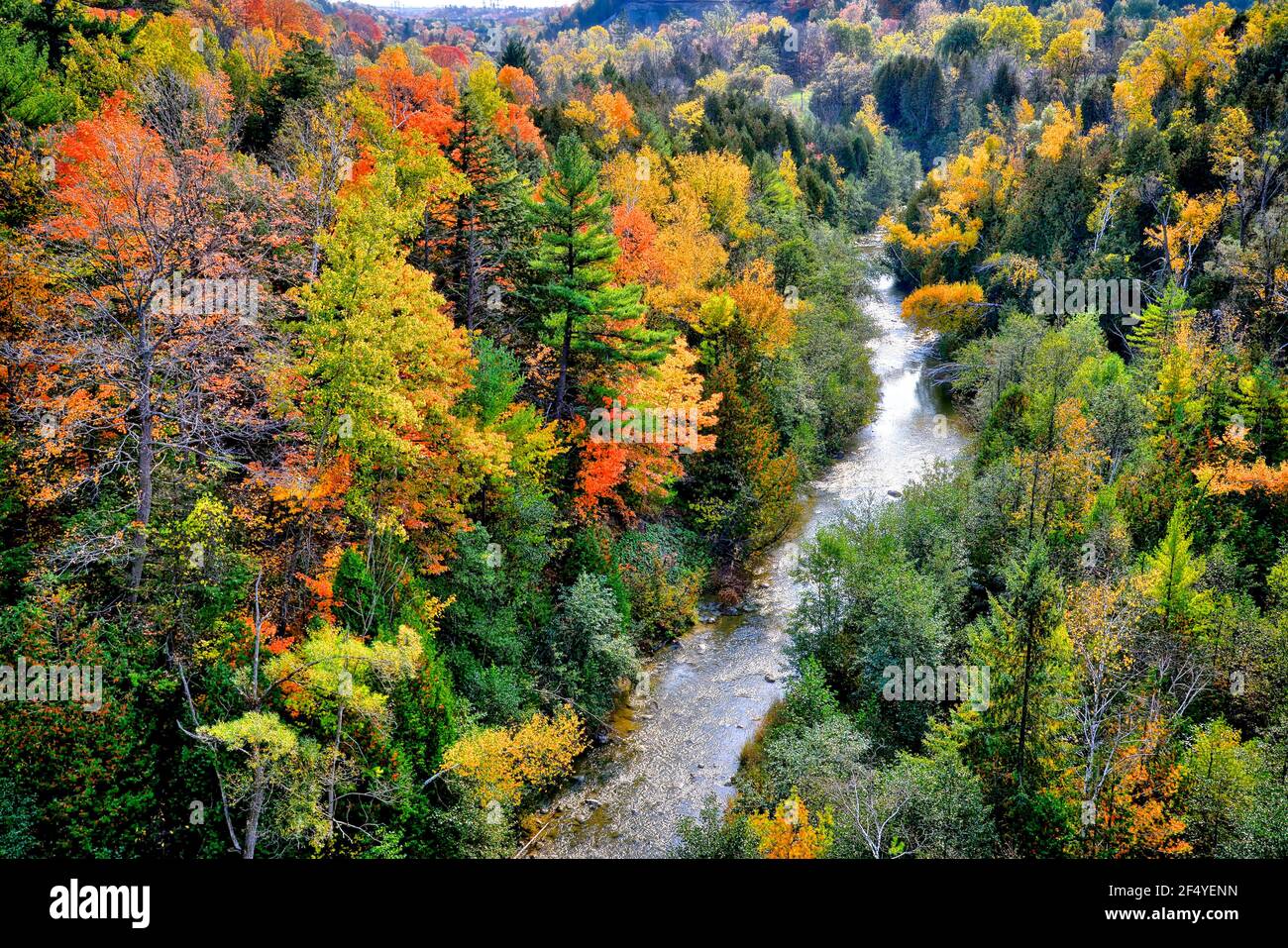 Aerial view of an autumn morning in the National Park with maple trees ...