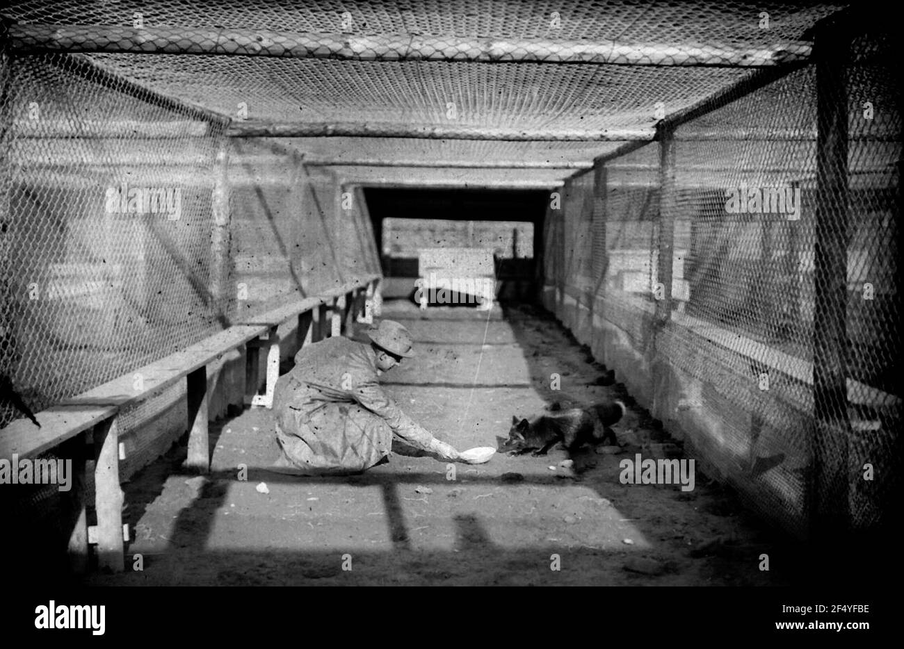 Habitat enclosure Black and White Stock Photos & Images - Alamy