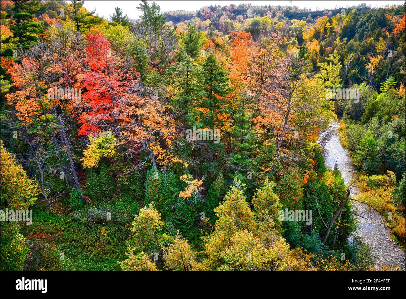 Aerial view of an autumn morning in the National Park with maple trees ...