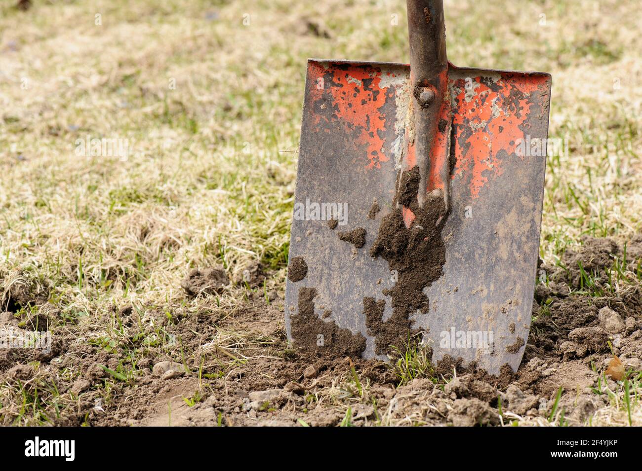 Shovel pushed to the dirt Stock Photo - Alamy
