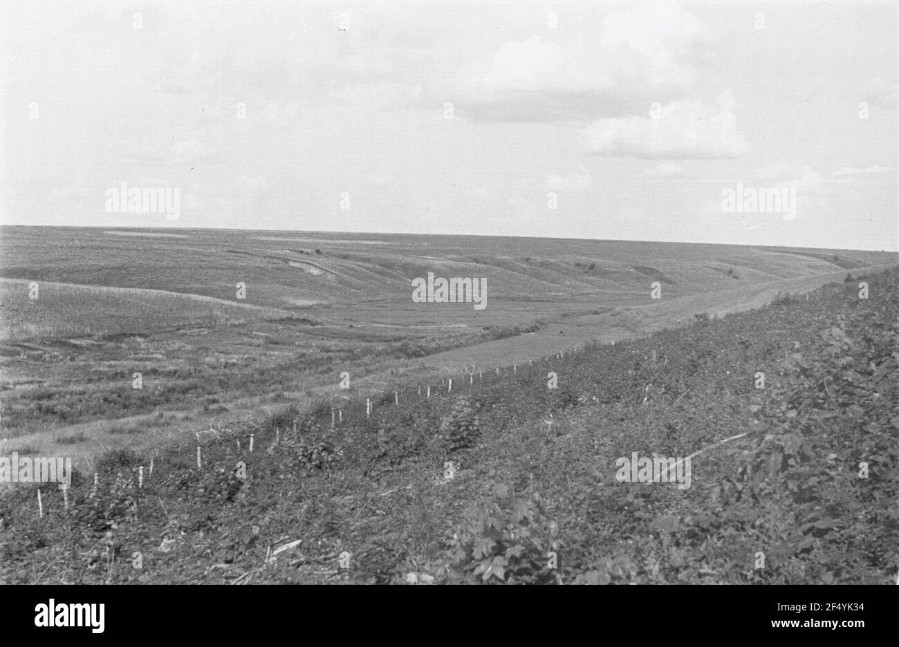 Second World War. Soviet Union. Grass plane Stock Photo - Alamy
