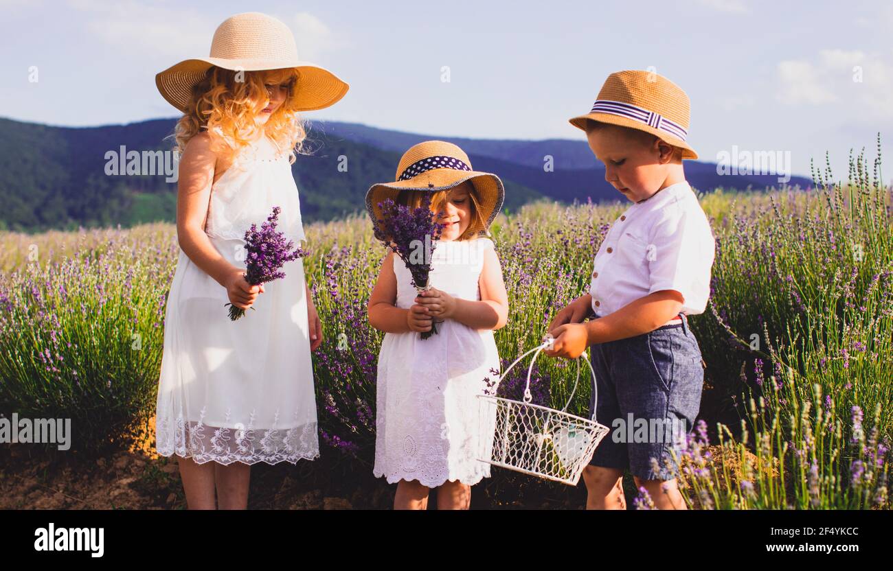 Three adorable kids, brother and two sisters Stock Photo - Alamy