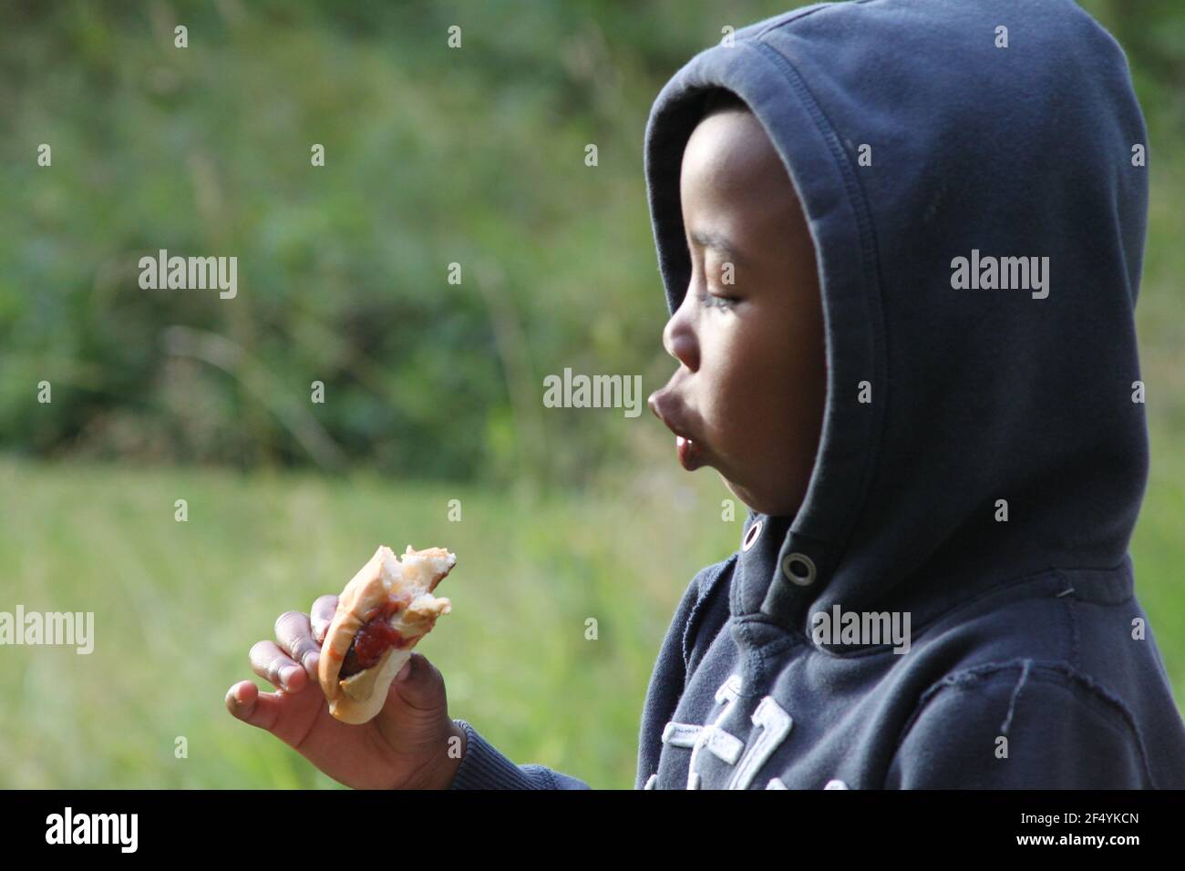 Portrait of a hungry young boy eating and talking to his hot dog Stock ...