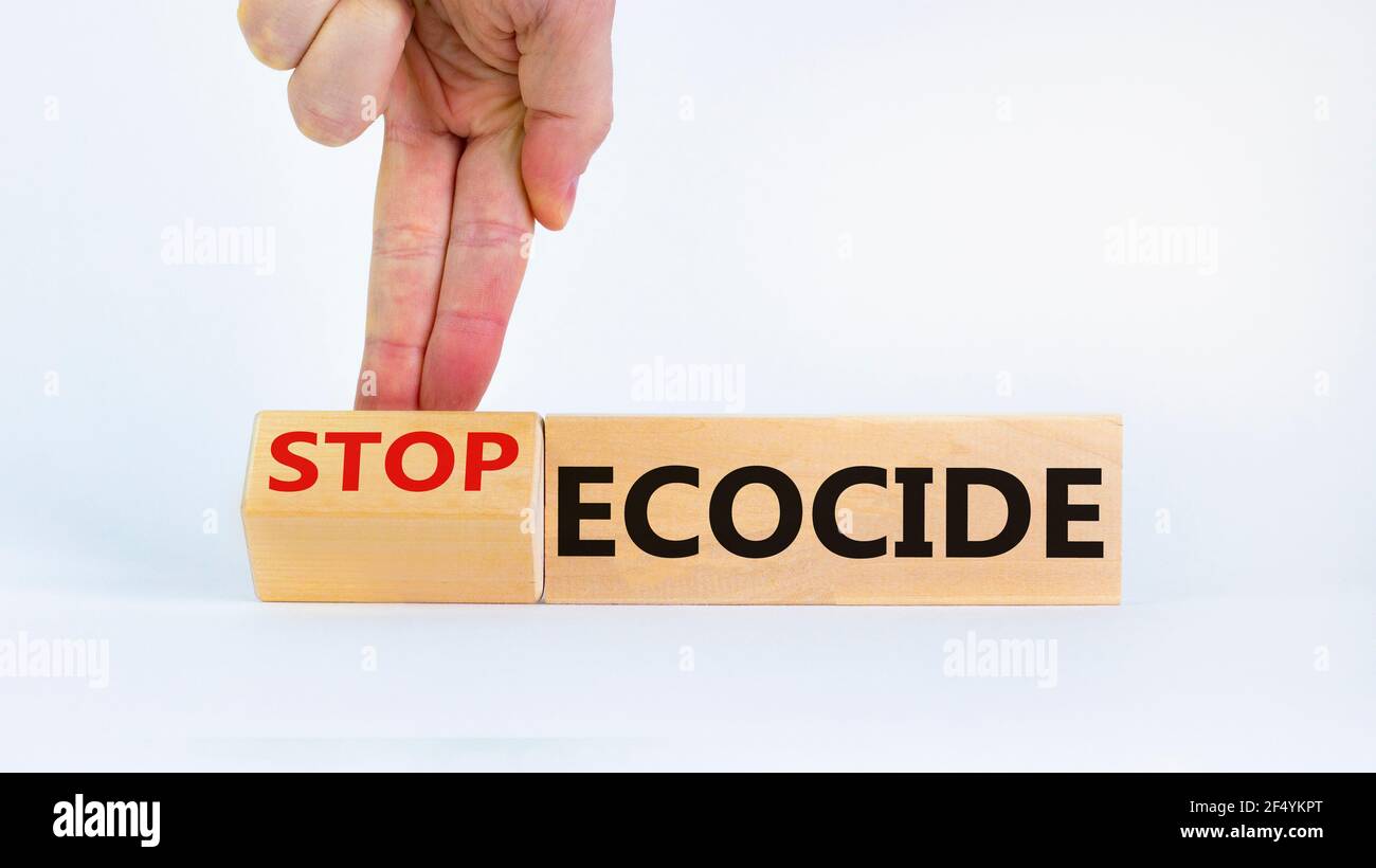 Stop ecocide symbol. Businessman turns a cube and changes words ecocide ...
