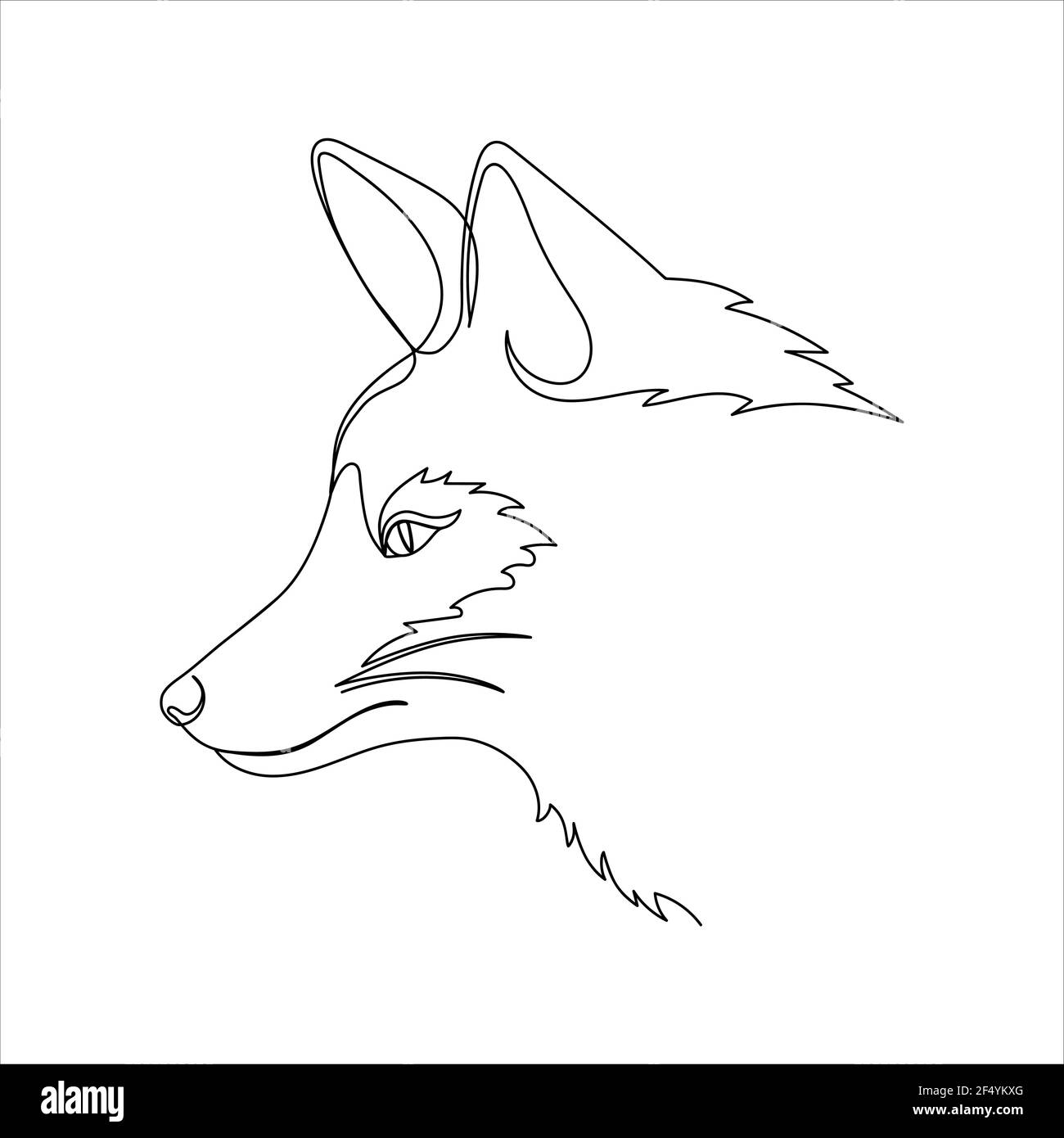 Fox line art design Black and White Stock Photos & Images - Alamy