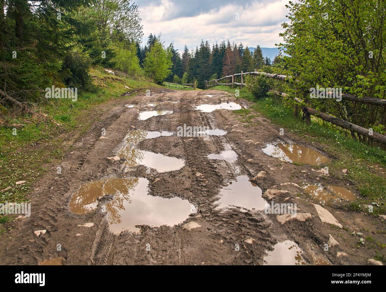 Broken country dirt road in spring mountains with lots of muddy puddles ...