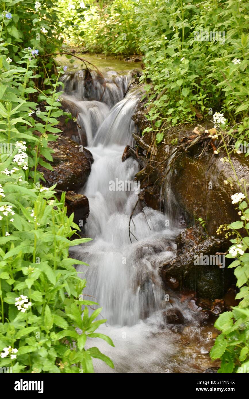 A cascading stream in the Rocky Mountains Stock Photo - Alamy