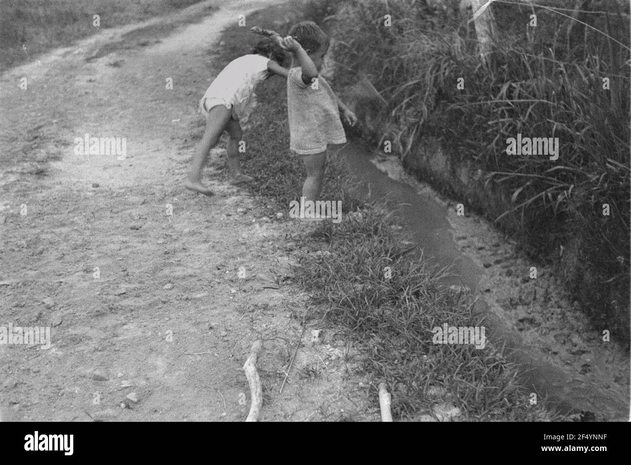 Travel photos Brazil. Rio de Janeiro. Children in stone throwing in a ...