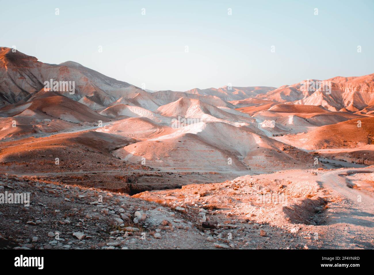 Desertscape hi-res stock photography and images - Alamy