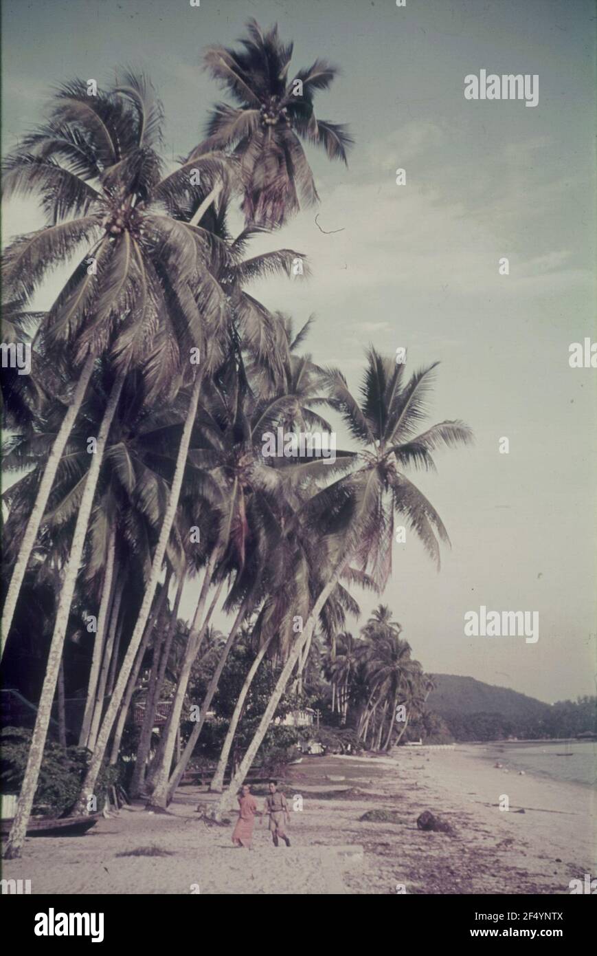 Travel photos Asia. Beach with palm trees and two walkers (Buddhist ...