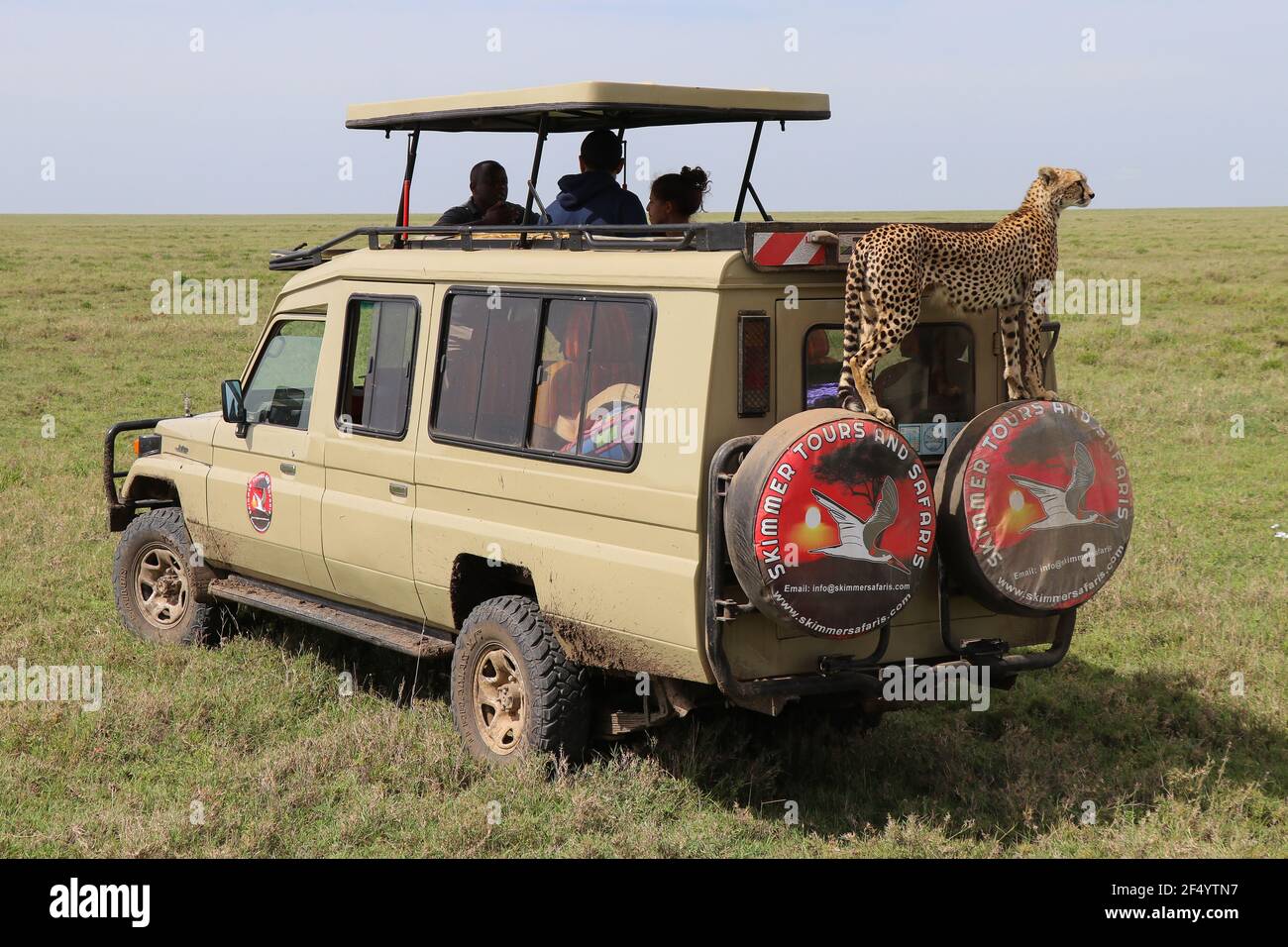 Safari Truck