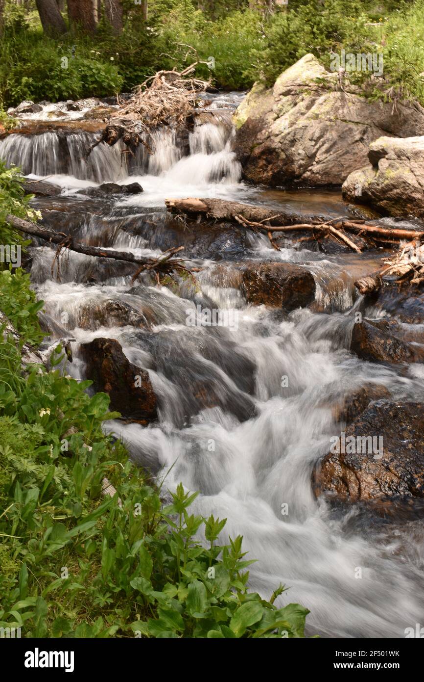 Cascading stream hi-res stock photography and images - Alamy