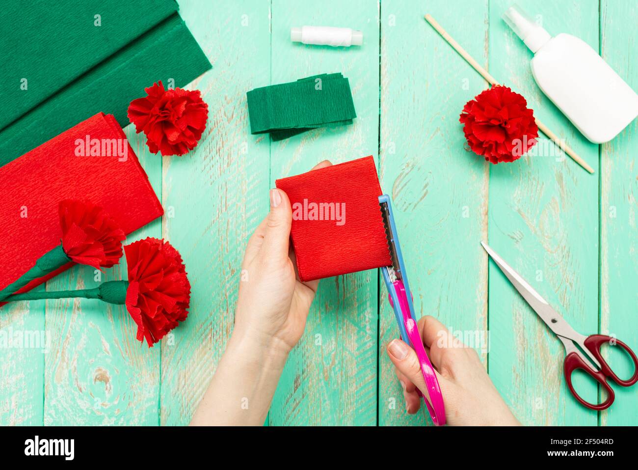 How to make a carnation flower at home. Hands make a red carnation ...