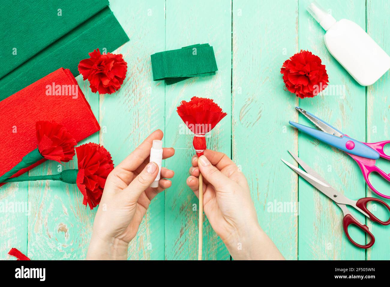 How to make a carnation flower at home. Hands make a red carnation ...