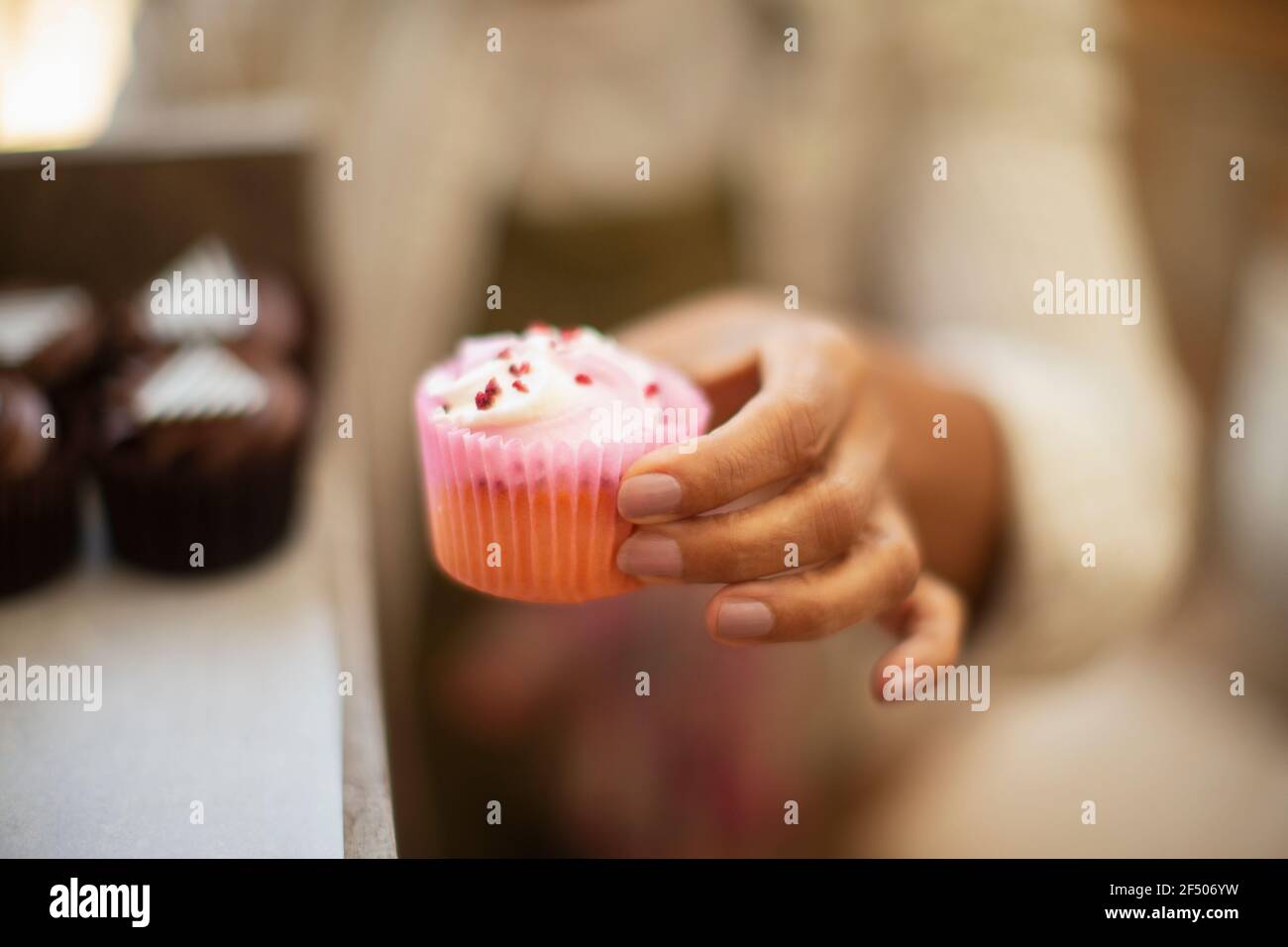 Close up female baker holding cupcake in pink liner Stock Photo - Alamy