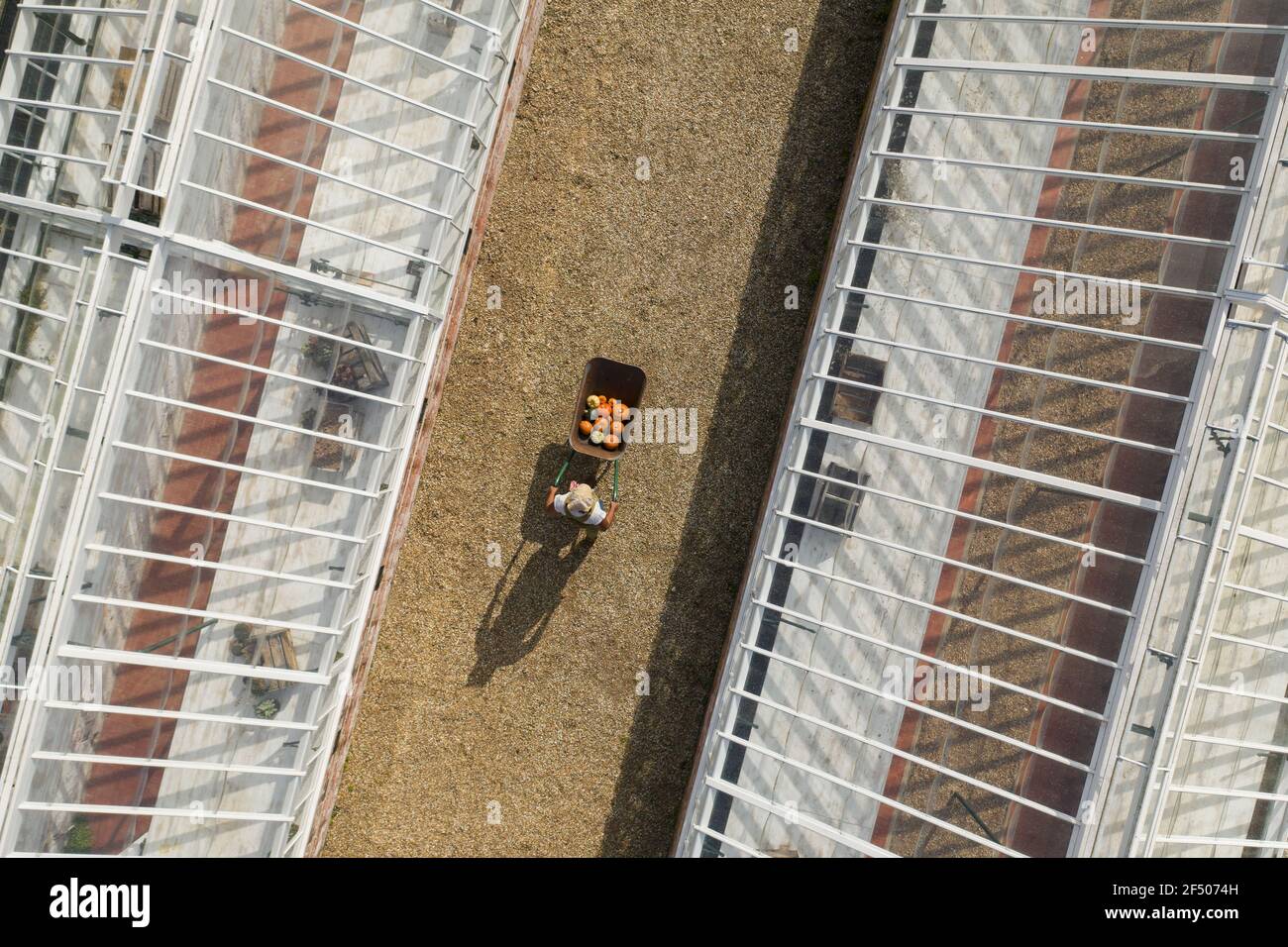 View from above woman pushing wheelbarrow outside greenhouses Stock ...