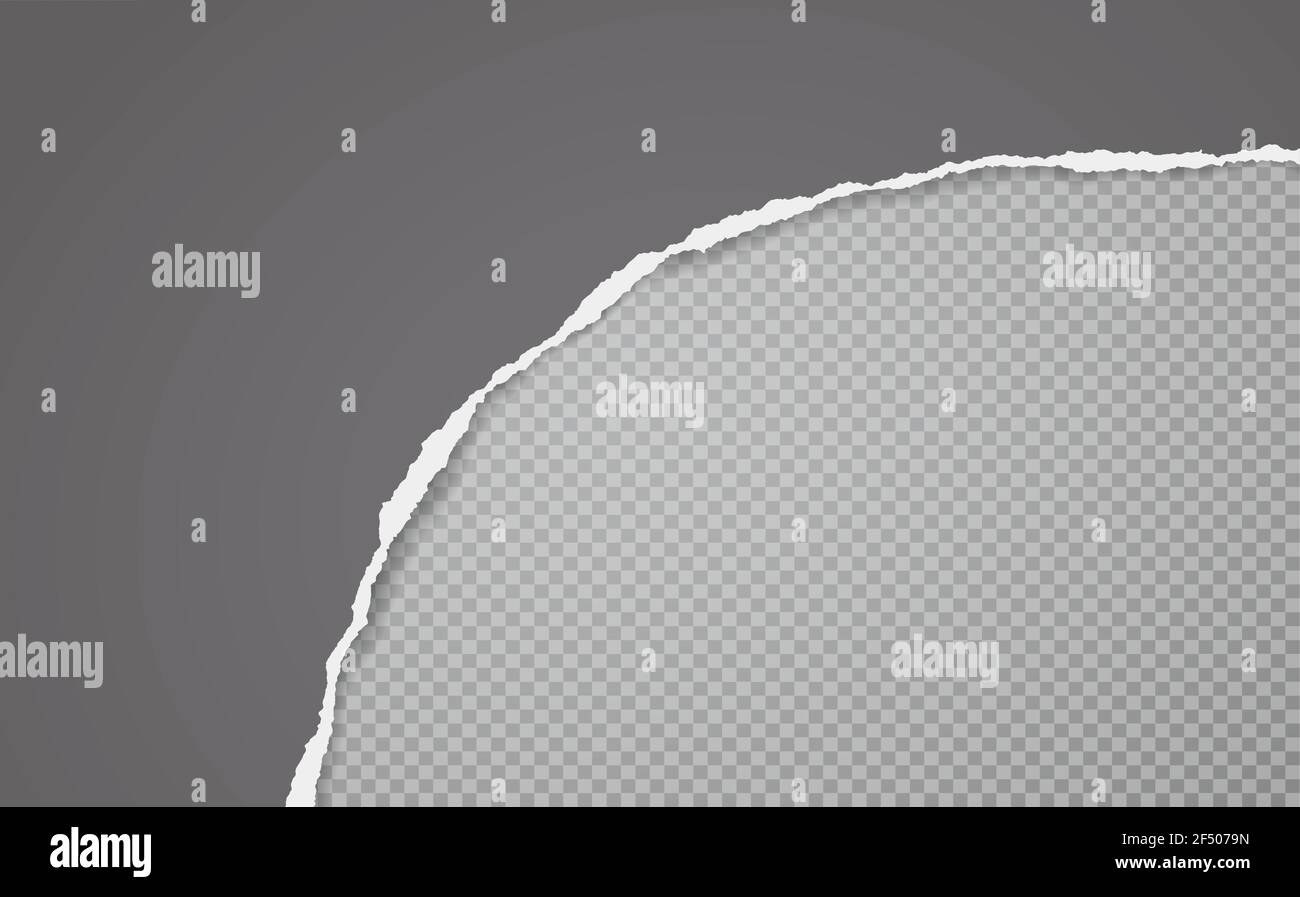 Torn, ripped dark grey grey paper strip with soft shadow is on squared ...