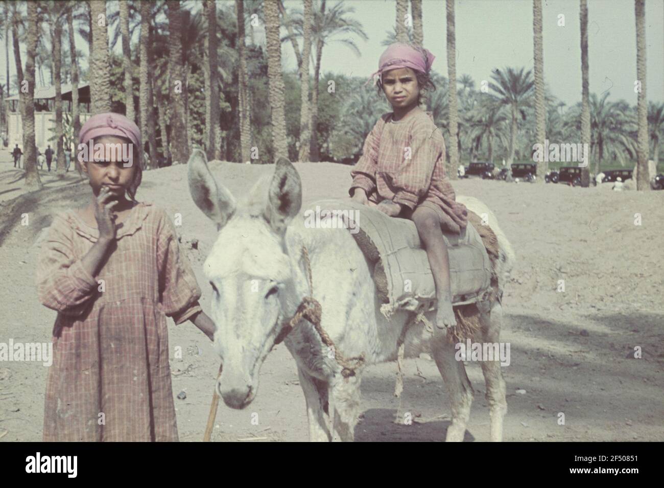 Travel photos Egypt. Cairo. Two girls with a mule not far from the ptah ...