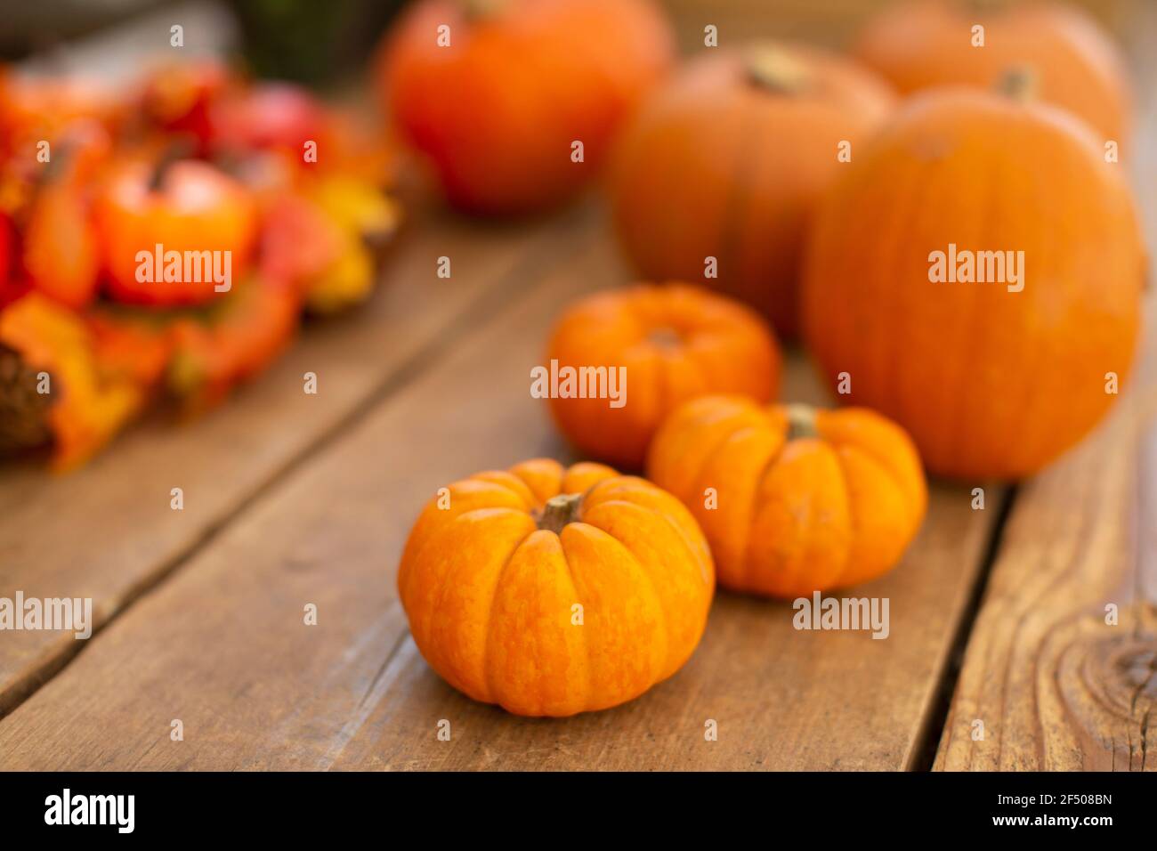 Nature table display hi-res stock photography and images - Alamy