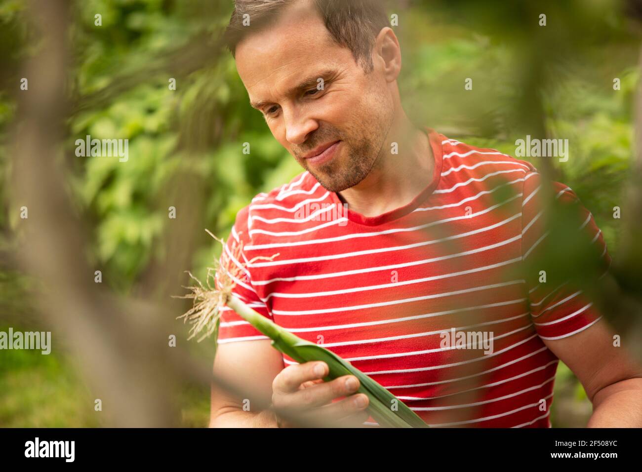 Inspect harvest hi-res stock photography and images - Alamy