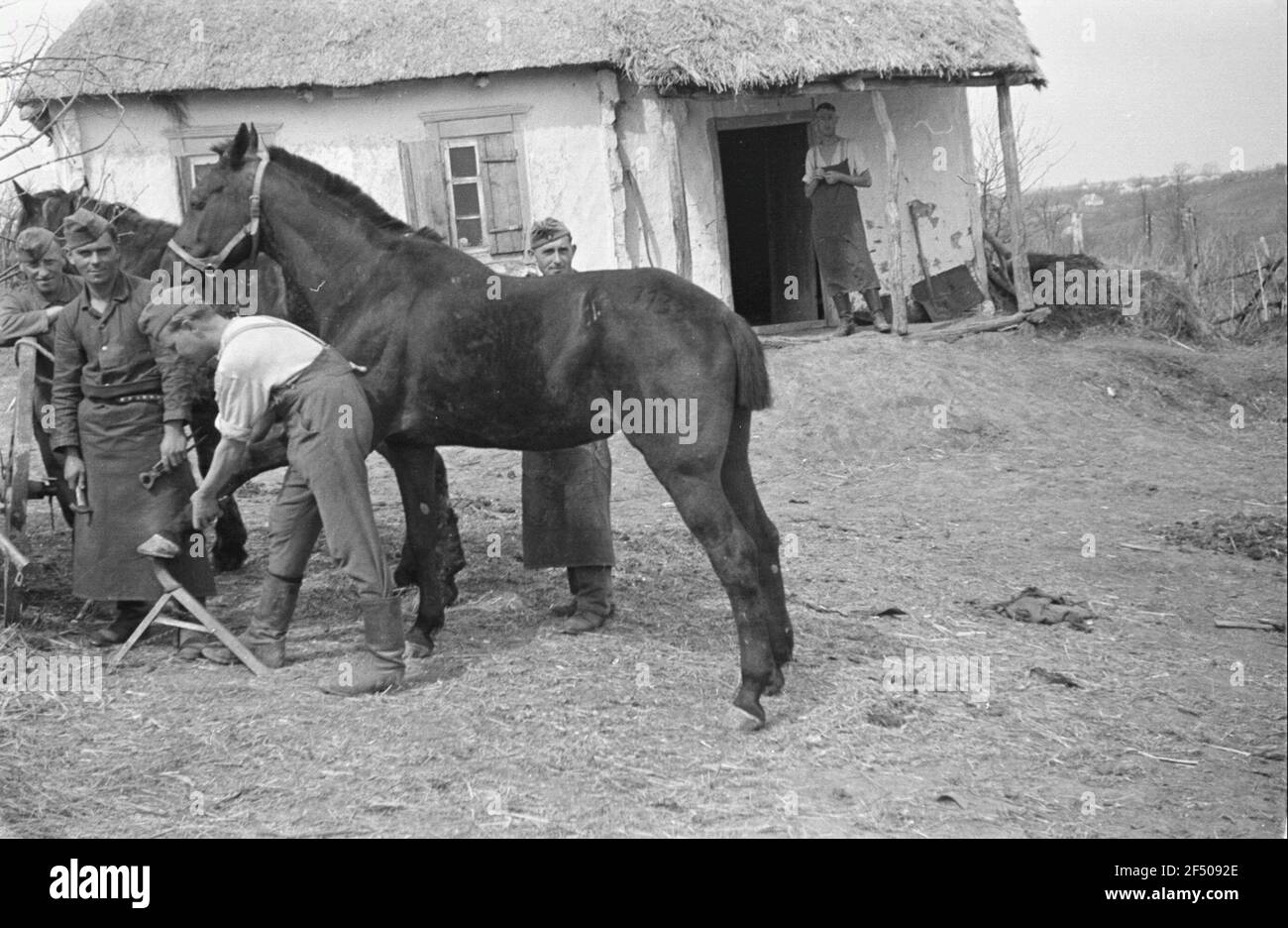 Second World War. For billeting. Soviet Union. Relatives of the German ...