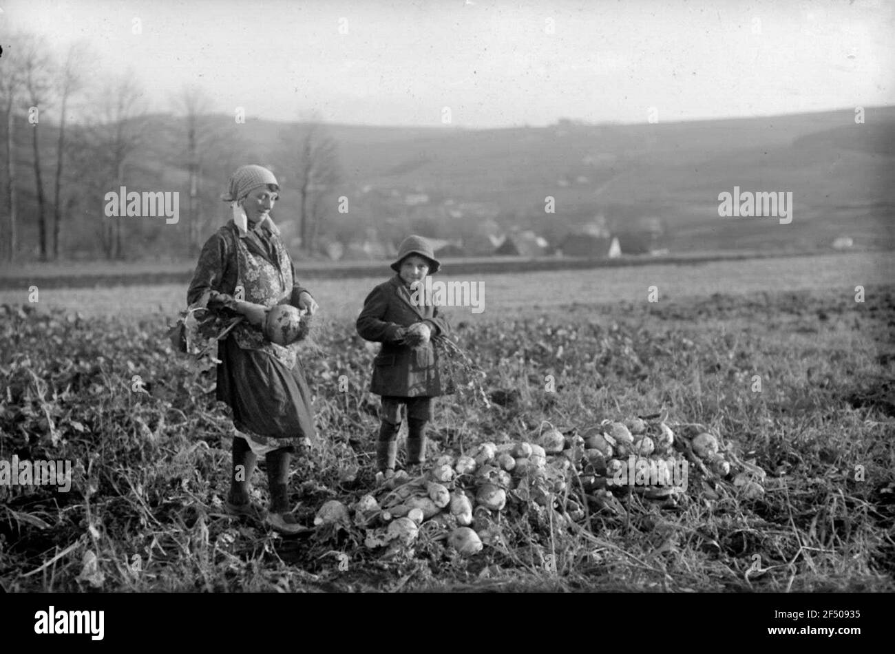 Agricultural field on harvest Black and White Stock Photos & Images - Alamy