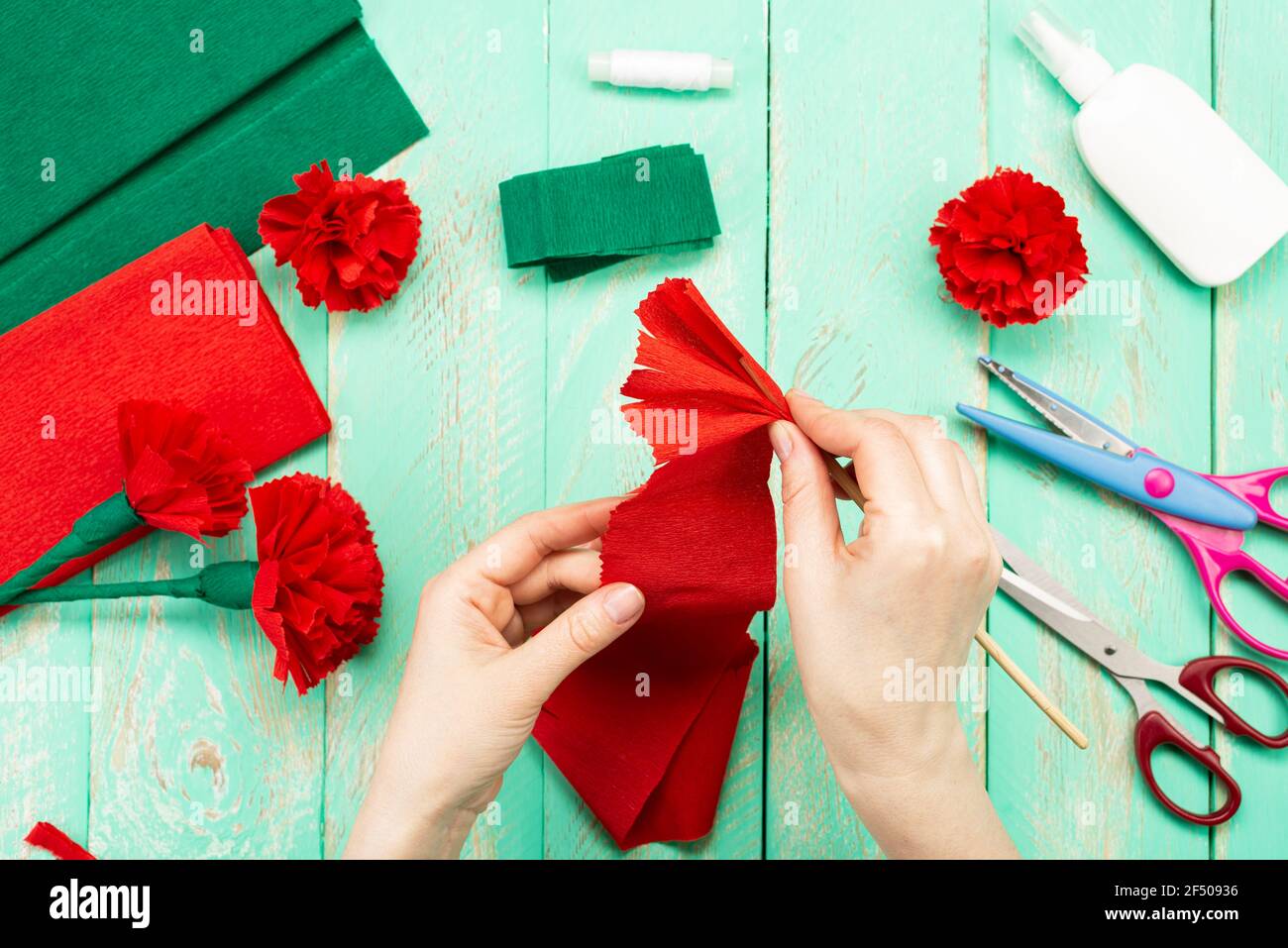 How to make a carnation flower at home. Hands make a red carnation ...