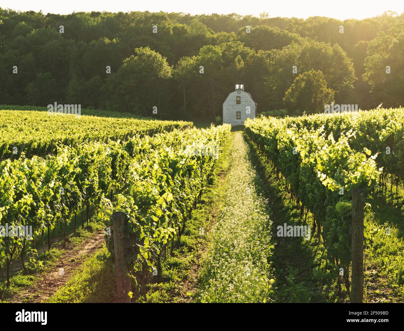 Hidden bench winery hi-res stock photography and images - Alamy