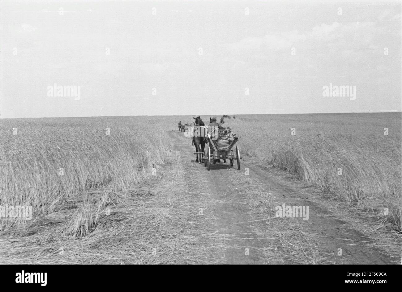 Second World War. Front pictures. Russia, Oblast Tver. Relatives of the ...