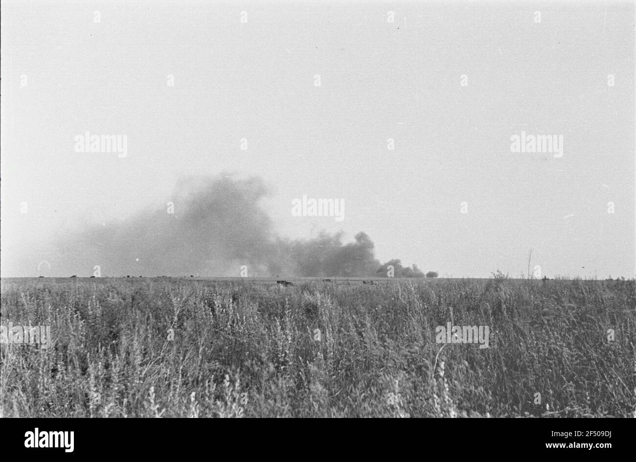Second World War. After the fighting. Russia, Oblast Tver. Gras plane ...
