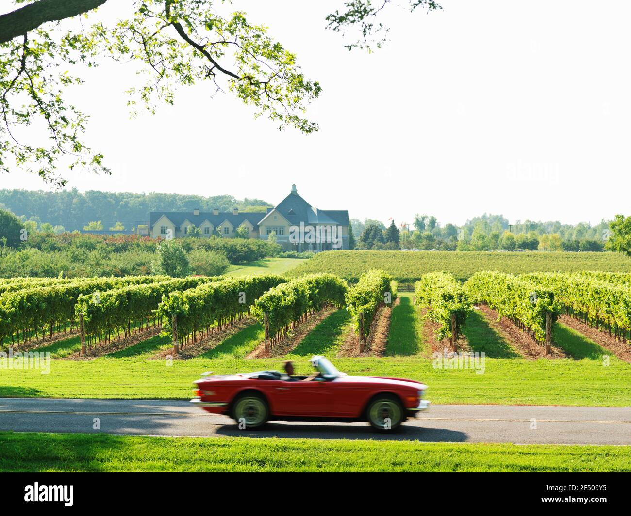vineyards with red sports car passing by a winery in the background ...