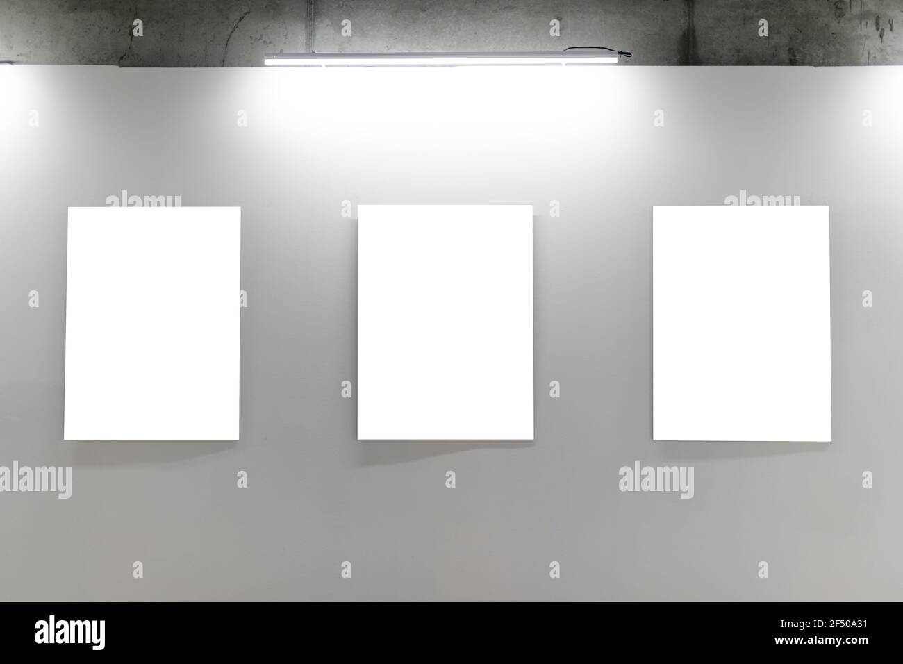 Mock up. Blank picture frames on white wall. Gallery wall with empty frames indoor Stock Photo ...