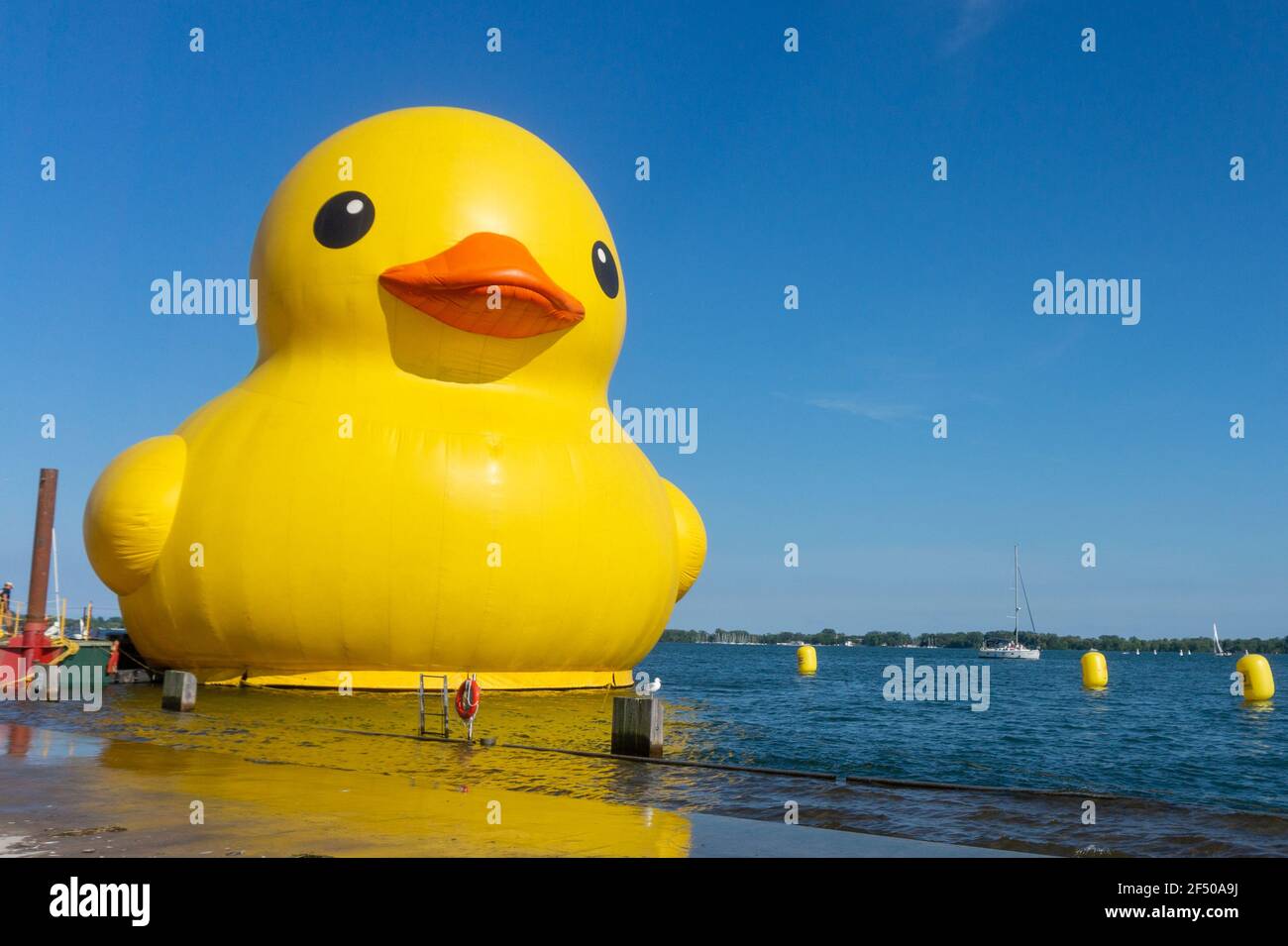 Giant Rubber Duck to Celebrate Canada's 150th Anniversary, Toronto ...
