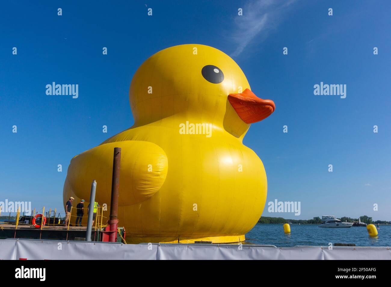 Giant Rubber Duck to Celebrate Canada's 150th Anniversary, Toronto ...
