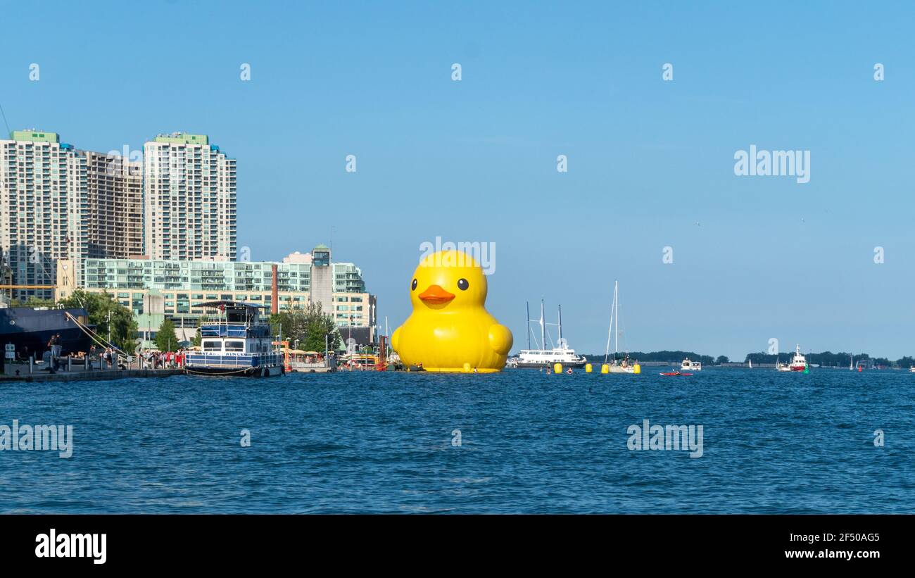 Toronto, Giant Rubber Duck to Celebrate Canada's 150th Anniversary-June ...