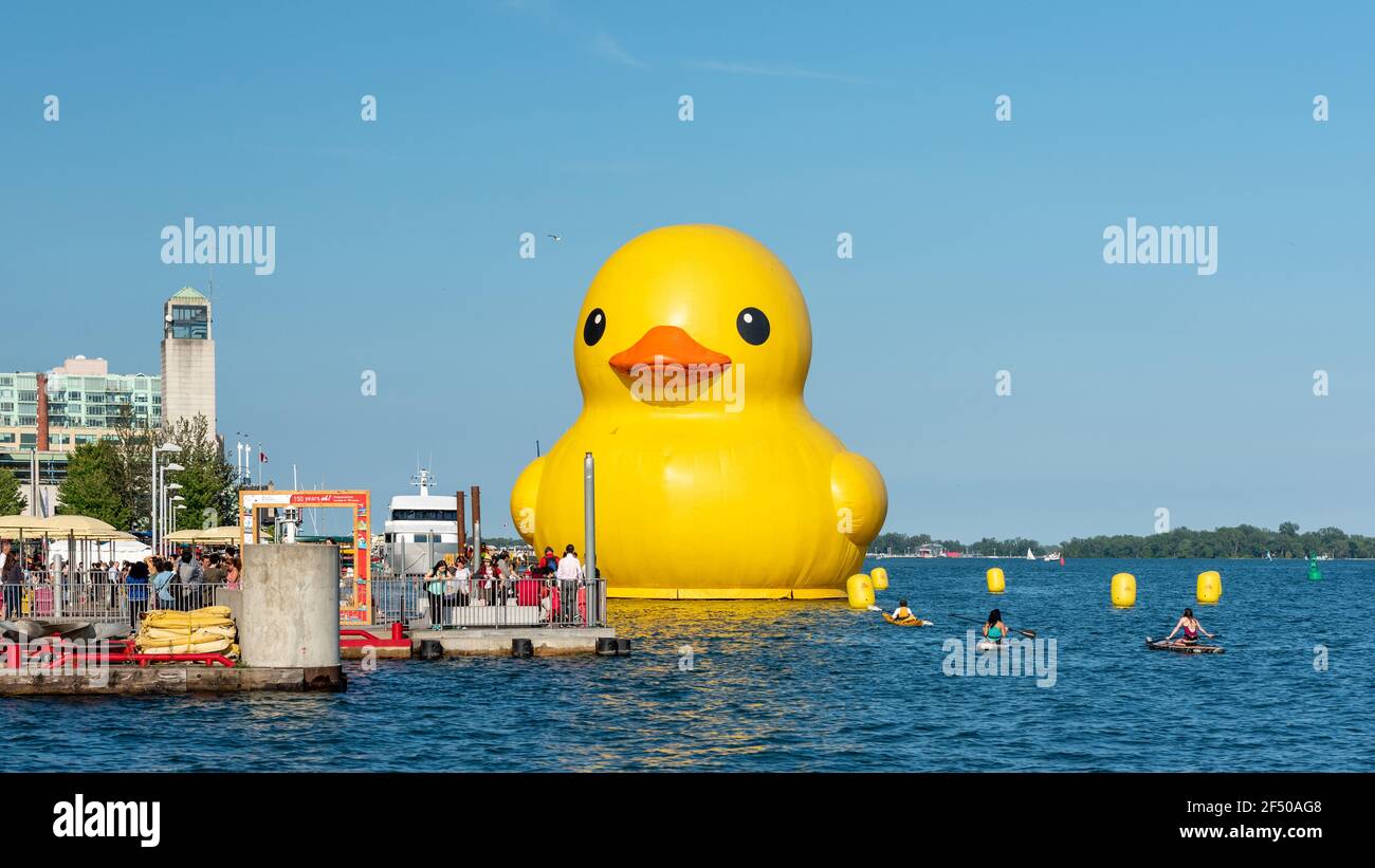 Giant Rubber Duck Wallpaper