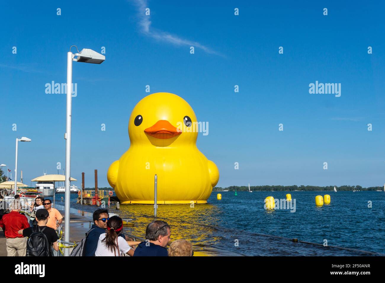 Giant Rubber Duck to Celebrate Canada's 150th Anniversary, Toronto ...