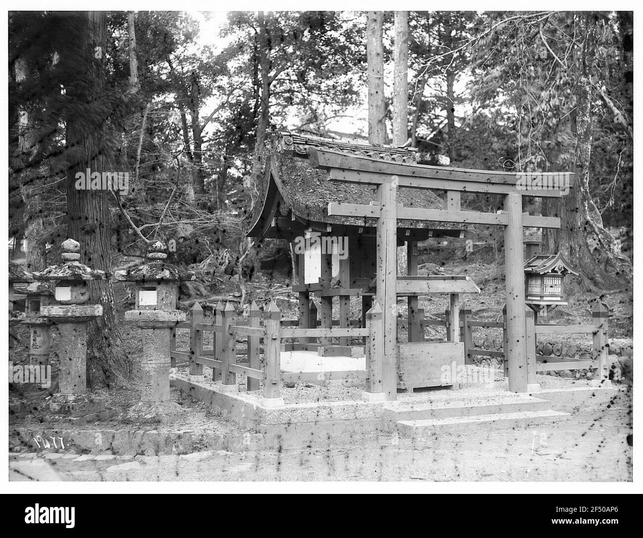 Nara park deer shrine Cut Out Stock Images & Pictures - Alamy