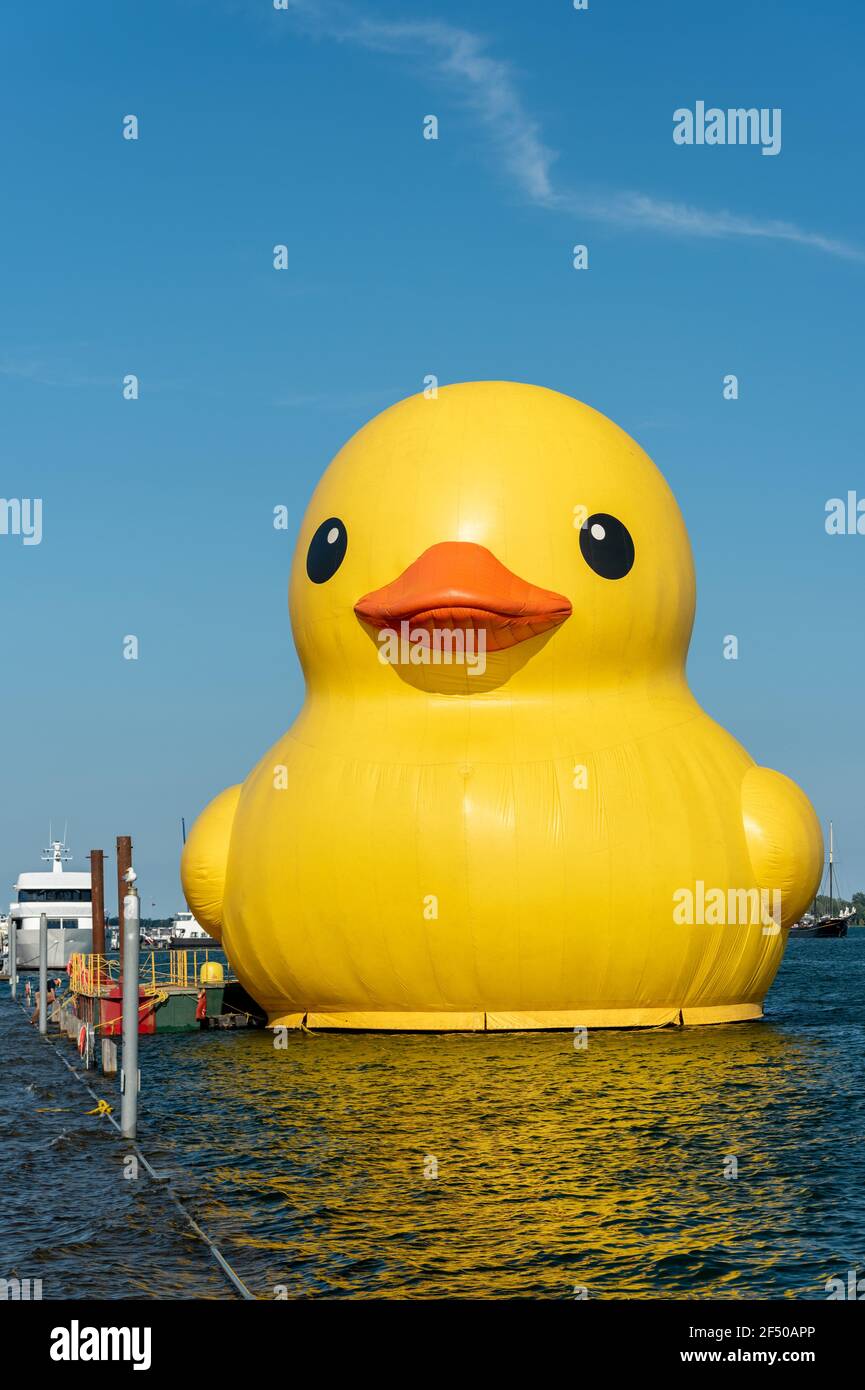 Giant Rubber Duck to Celebrate Canada's 150th Anniversary, Toronto ...