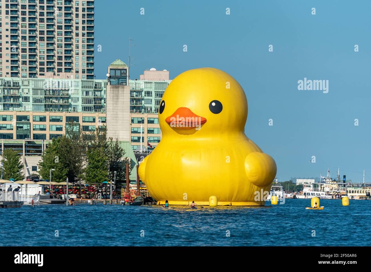 Giant Rubber Duck to Celebrate Canada's 150th Anniversary, Toronto ...