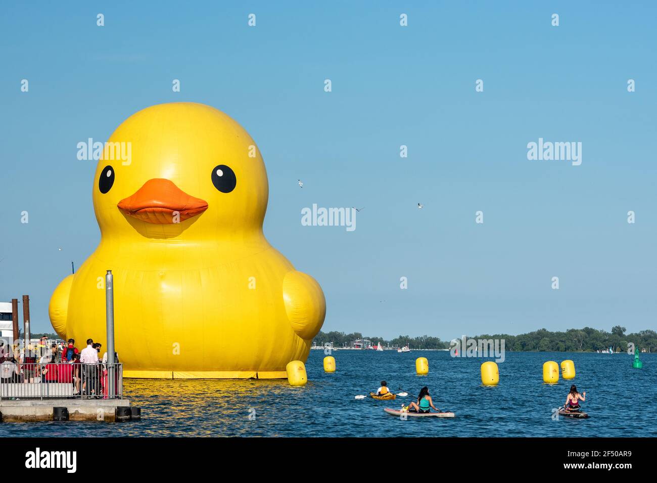 Giant rubber duck toronto hi-res stock photography and images - Alamy