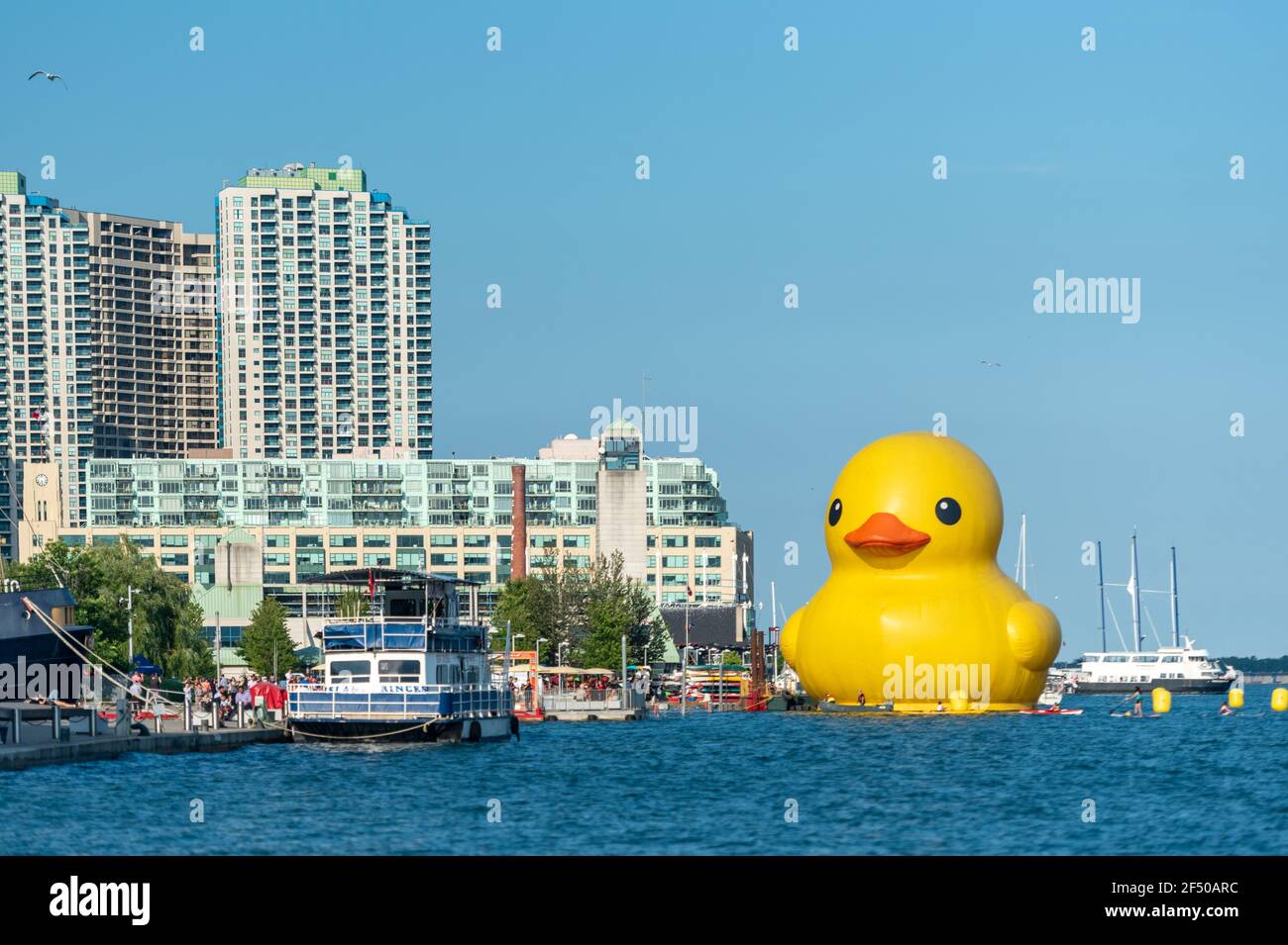 Giant Rubber Duck to Celebrate Canada's 150th Anniversary, Toronto ...
